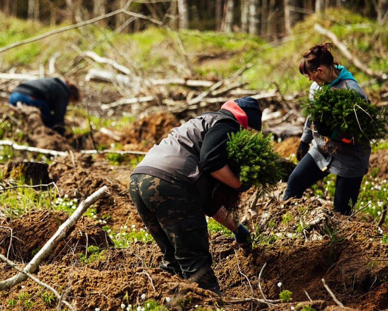 Volunteer - Glide Revitalization