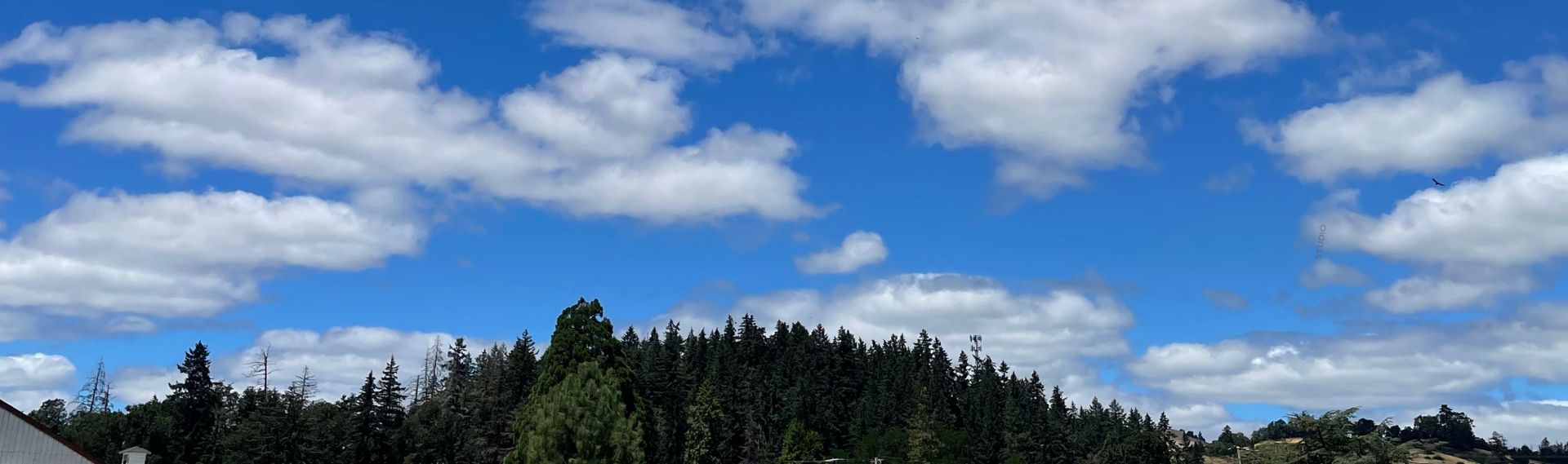 Nursing Scholarship Glide Revitalization